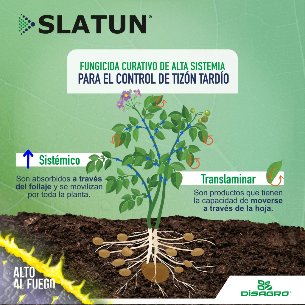 Slatun® - Disagro Honduras