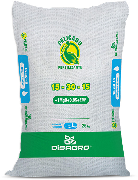 SOLUFERT - Disagro Honduras